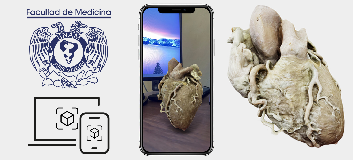 Configuración Externa de Corazón - Facultad de Medicina UNAM